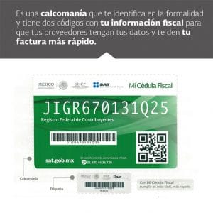 ¿Qué es la Cédula de Identificación Fiscal? - Los Impuestos